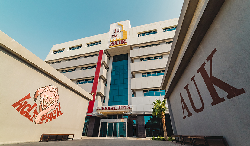 A YEAR IN THE LIFE OF AUK - bazaar.town